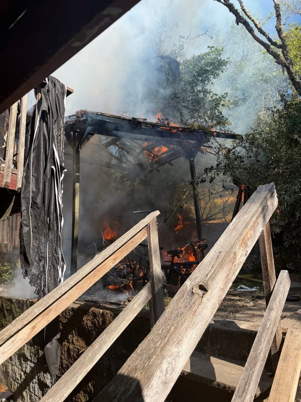 Fire Destroys Gazebo, Spreads to Nearby Trees Along Lookingglass Road